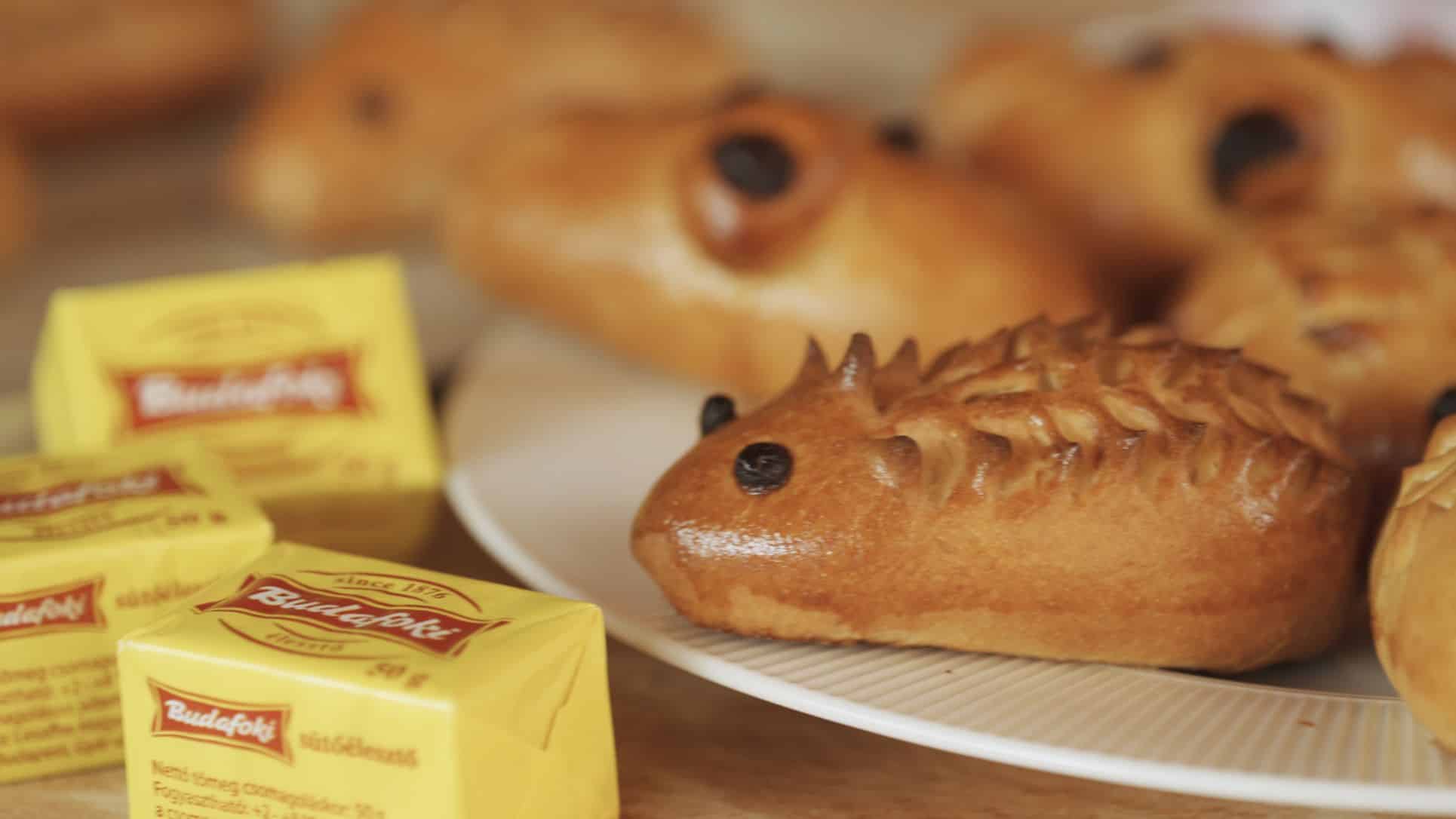 Túrórudis maci és süni | Budafoki élesztő